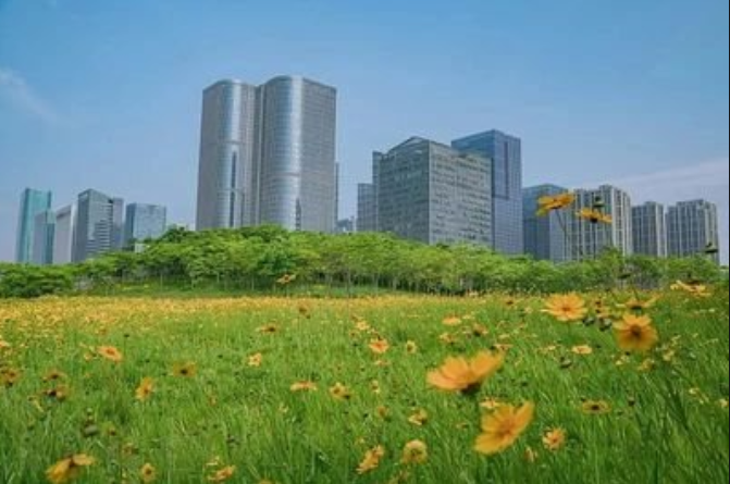 2023 Yiwu Full Competely Guide - IHome